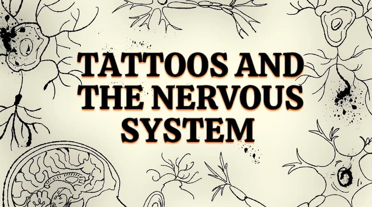 Tattoos and the Nervous System - Figure 8 Ink